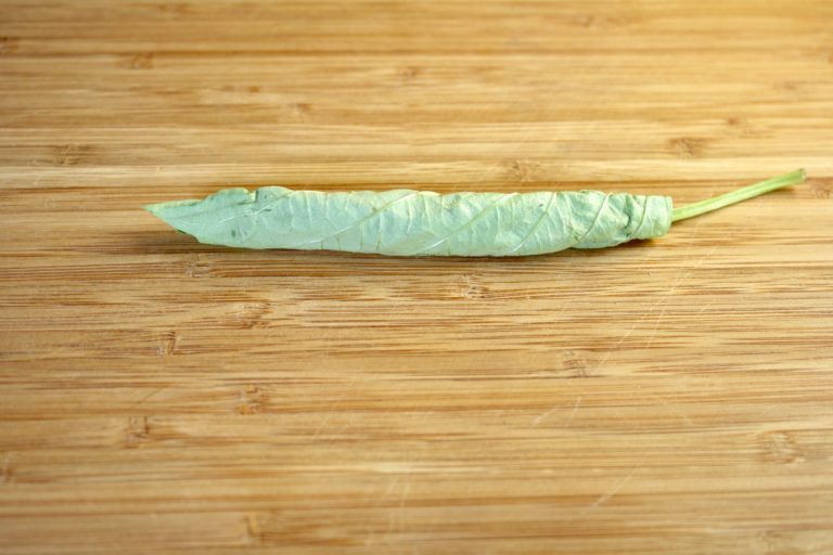 How To Chiffonade Fresh Herbs – Cooking Clarified